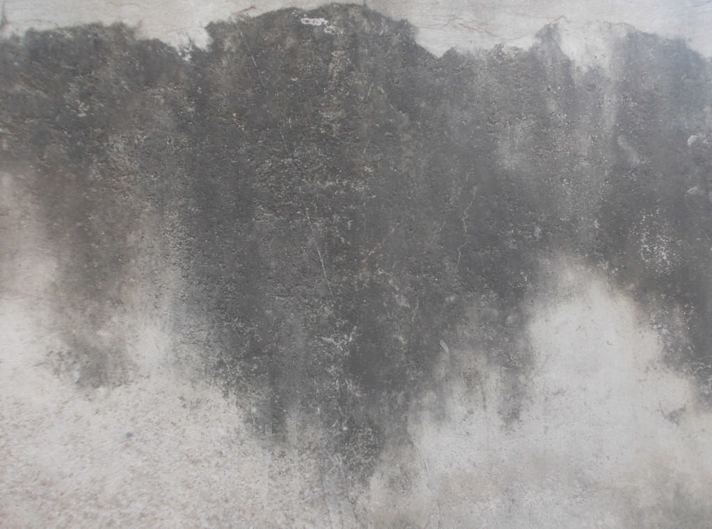 #8 of the Top 10 Sanity Savers While Remodeling - 200 Fingers & Toes