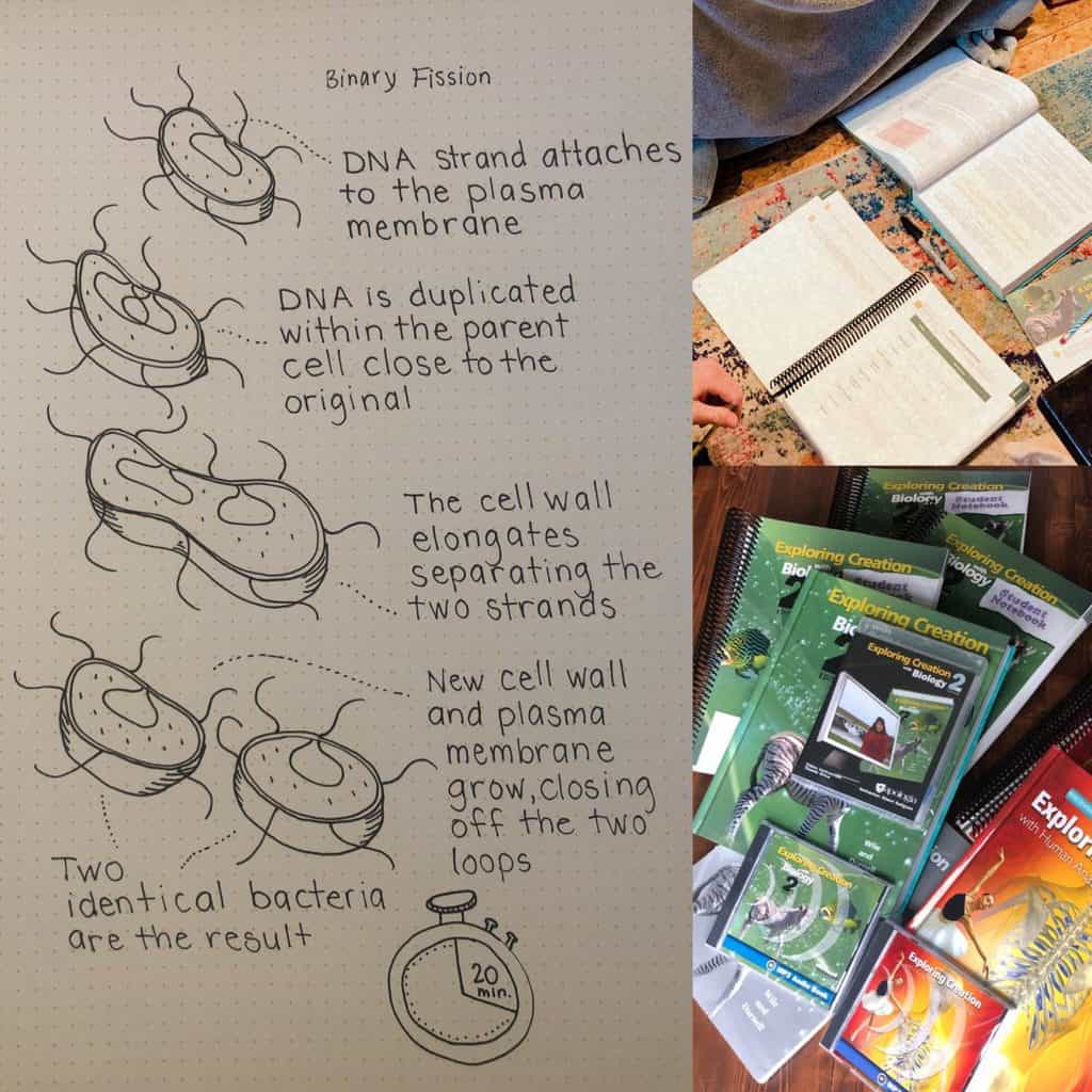 The Best Way to Help Your Students Enjoy High School Science - 200 ...